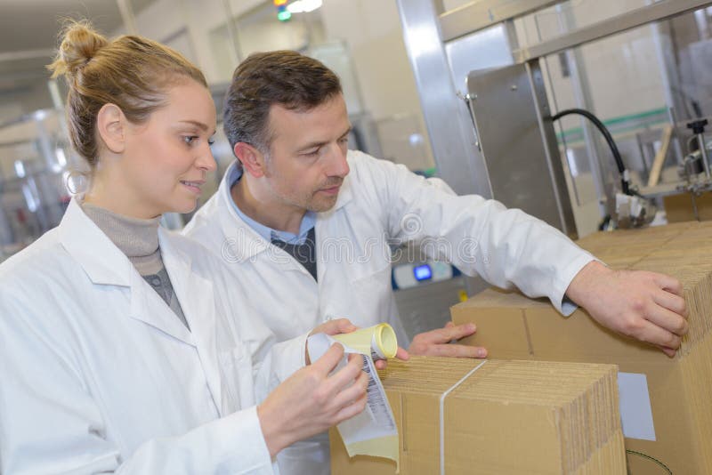 Warehouse Team Checking Boxes in Warehouse Stock Photo - Image of ...