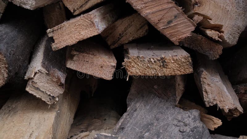 Warehouse of Various Firewood and Logs from Different Types of Wood in ...