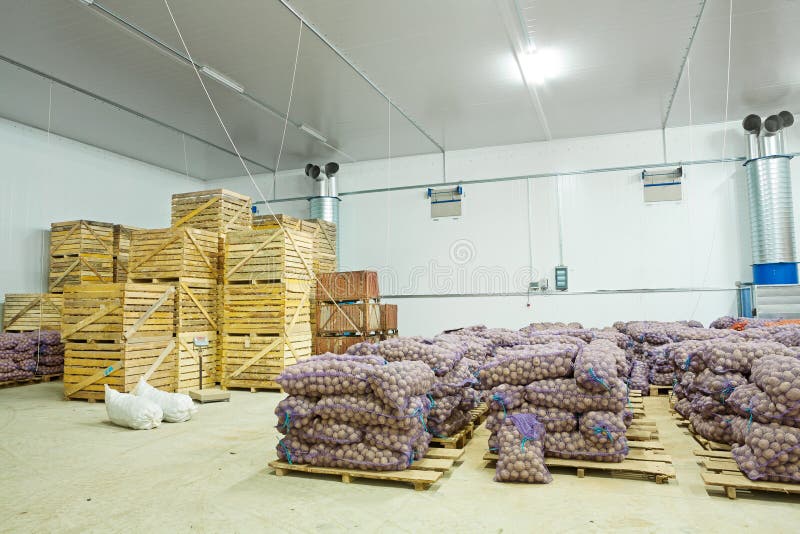 Warehouse View on Potato in Crates and Bags Stock Photo - Image of ...
