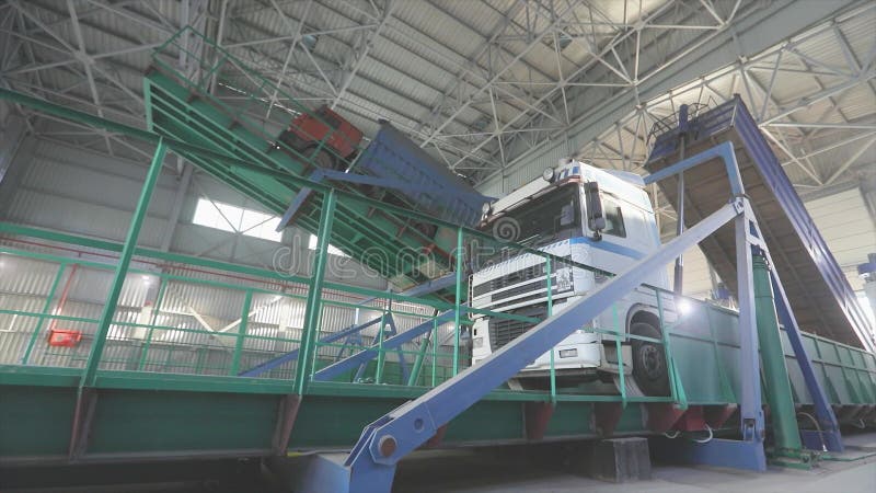 Unloading Wheat from a Truck To a Silo, Loading Wheat into an Elevator ...