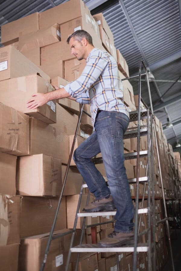 Warehouse Worker Loading Up Pallet Stock Photo - Image of standing ...
