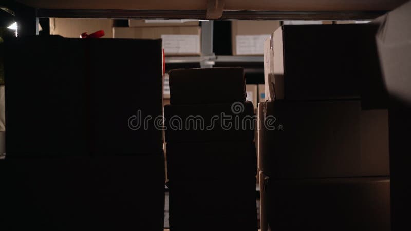 Warehouse Worker Putting Package in the Shelf Full of Parcels in a ...