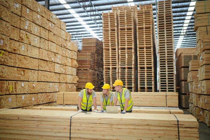 Worker are Working at Lumber Yard in Large Warehouse. Stock Image ...