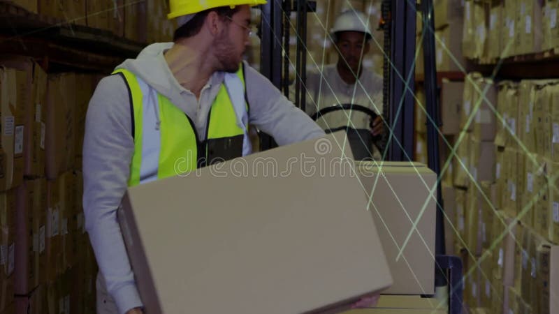 Warehouse Workers Handling Boxes with Network Connections Animation ...