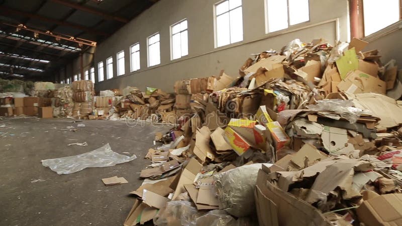 Warehouse with Recyclable Paper Cardboard Boxes at Garbage Processing ...