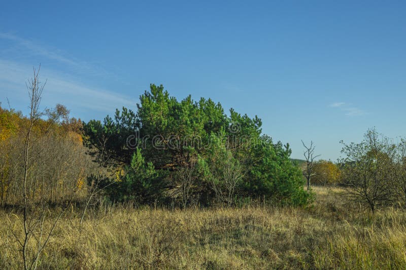 Warm autumn in rural areas stock image. Image of beauty - 374078815