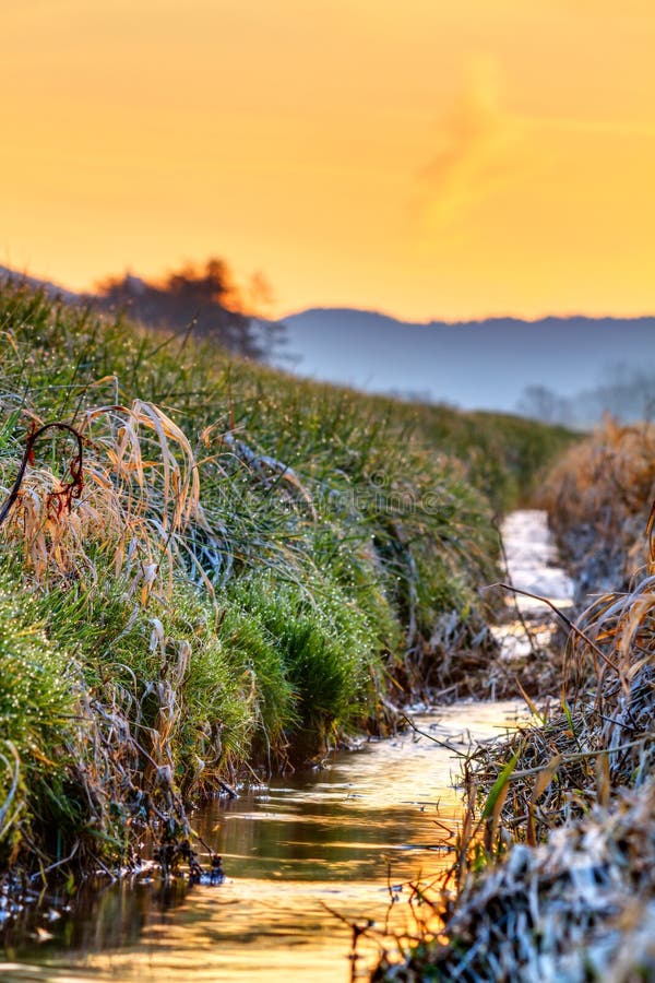 Warm Bavarian Spring Sunrise Brook Stock Photo - Image of fresh, europe ...