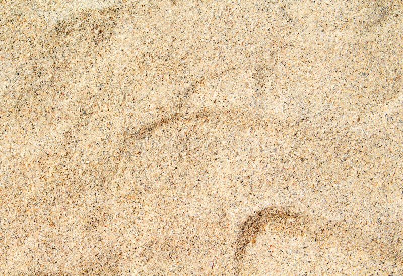 Warm Beach Sand Closeup for Background. Tropical Beach Photo Stock ...