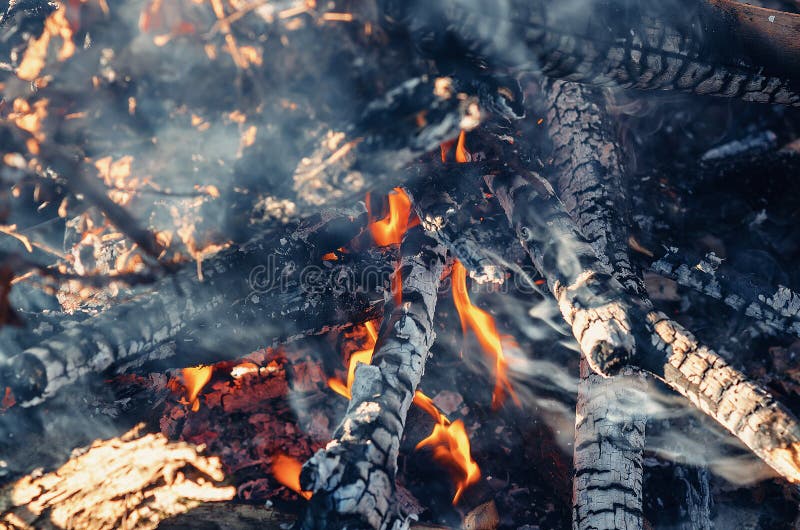 Rustic Campfire Burning in Autumn Woods with Colorful Leaves Stock ...