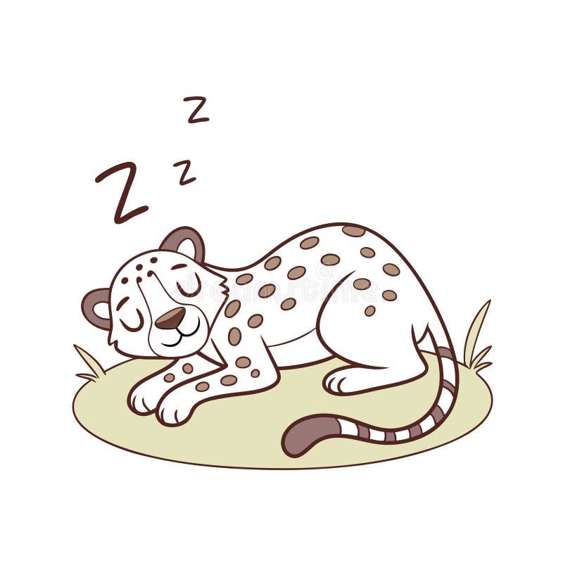 Warm Cheetah Sleeping Peacefully Stock Image - Illustration of ...
