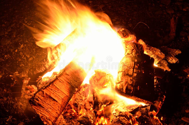 Warm and cozy campfire stock photo. Image of natural - 99562510
