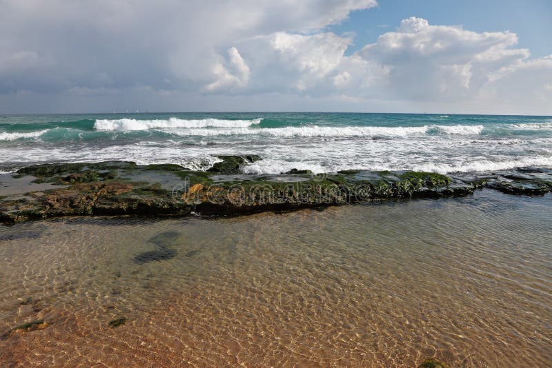 Warm day in January stock photo. Image of beach, surf - 19962980