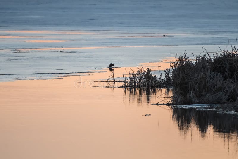 Warm Evening Spring Colors on the Lake As the Last of the Ice Melts ...