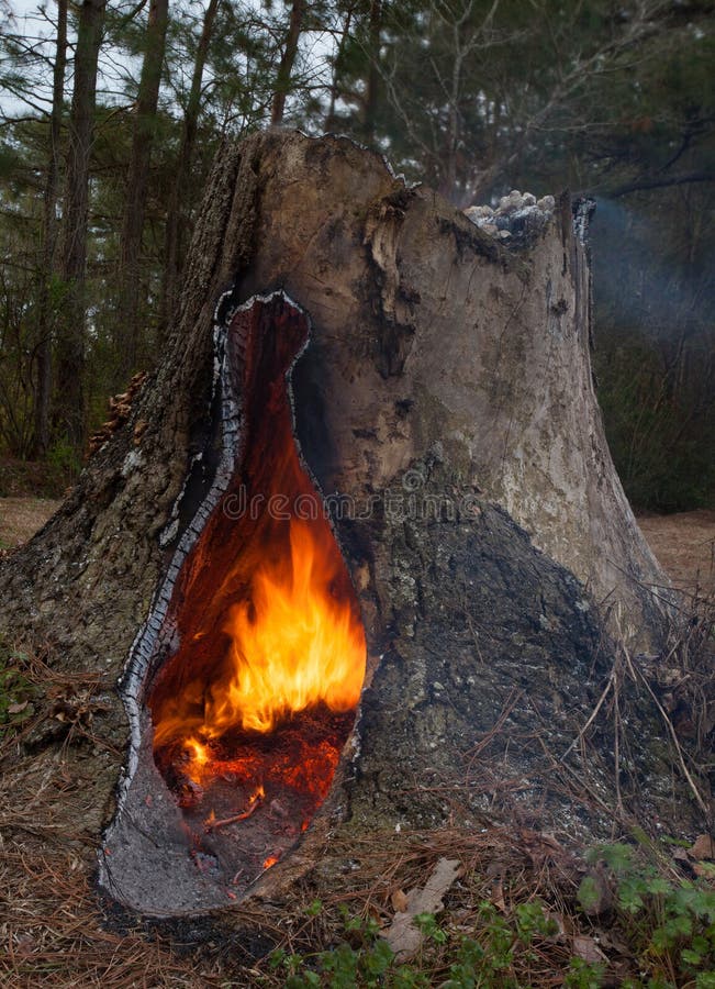 Warm fire stock image. Image of smoke, green, orange - 47974321