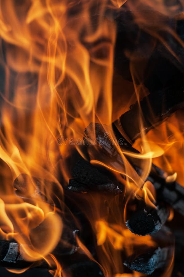 Warm Fireplace. Fire, Process of Burning of a Tree Stock Photo - Image ...