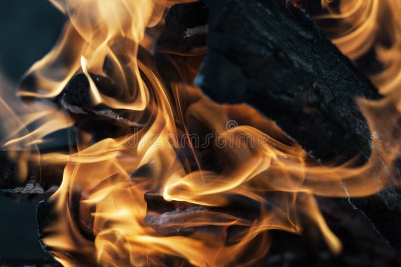 Warm Fireplace. Fire, Process of Burning of a Tree Stock Image - Image ...