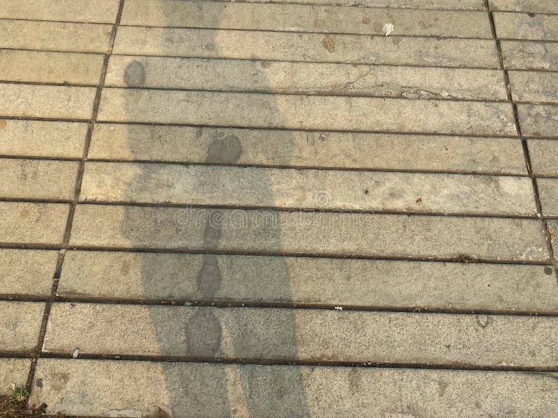 The Warm Glow Emphasizes the Texture of the Steps and the Graceful ...