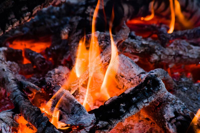 A Warm, Glowing Campfire with Orange Flames and Logs Crackling in the ...