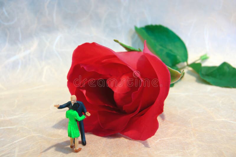Warm hug with the rose stock photo. Image of lady, gentleman - 65849306
