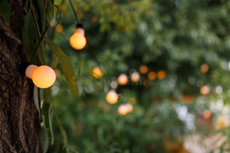 Warm Light Bulbs at the Evening Event Stock Photo - Image of bokeh ...
