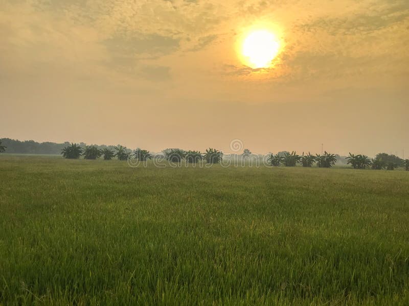 Farm in sunrise stock photo. Image of farmhouse, land - 10630410