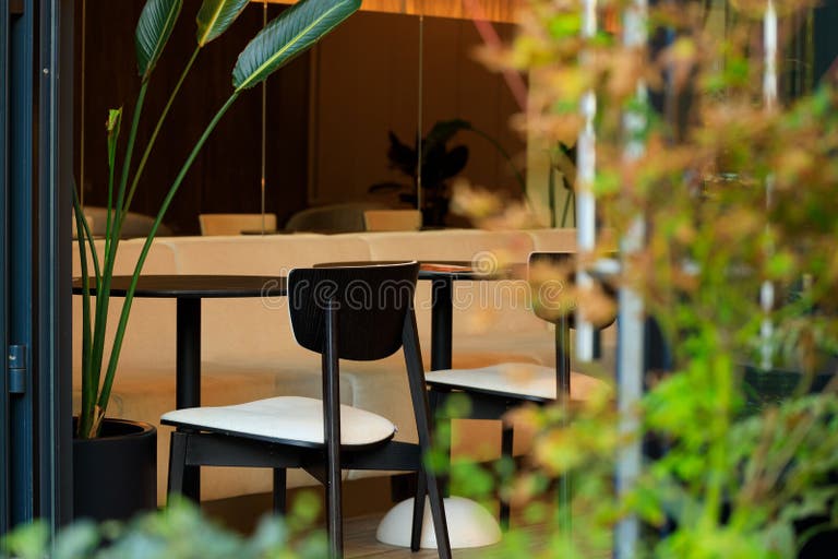 1,170 Elements Light Cafe Design Stock Photos - Free & Royalty-Free ...