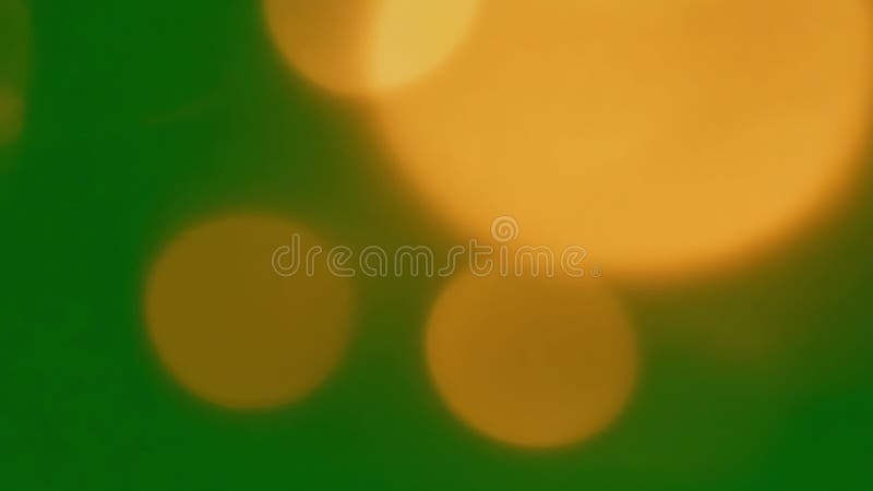 Warm Light Spots Hovering in a Lush Setting. Green Screen Chromakey ...