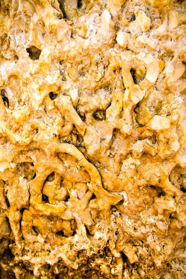 Warm limestone texture stock photo. Image of sand, closeup - 59165298