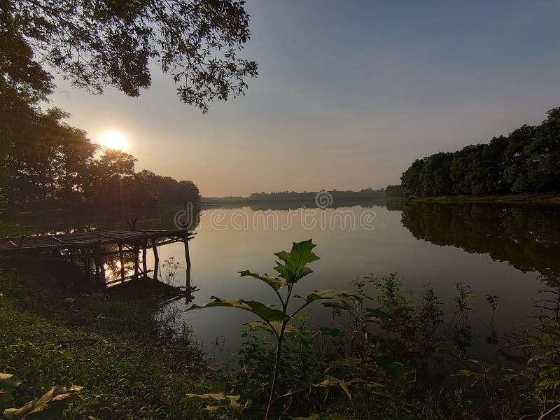 Warm Morning sun stock image. Image of leaf, morning - 262954661