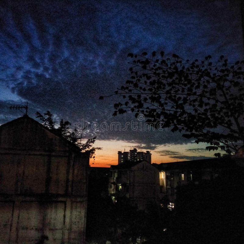 Warm morning sun stock photo. Image of morning, warm - 277101242