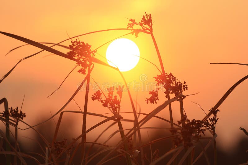 Warm Mountains Sunset with Orange Sky Stock Photo - Image of black ...