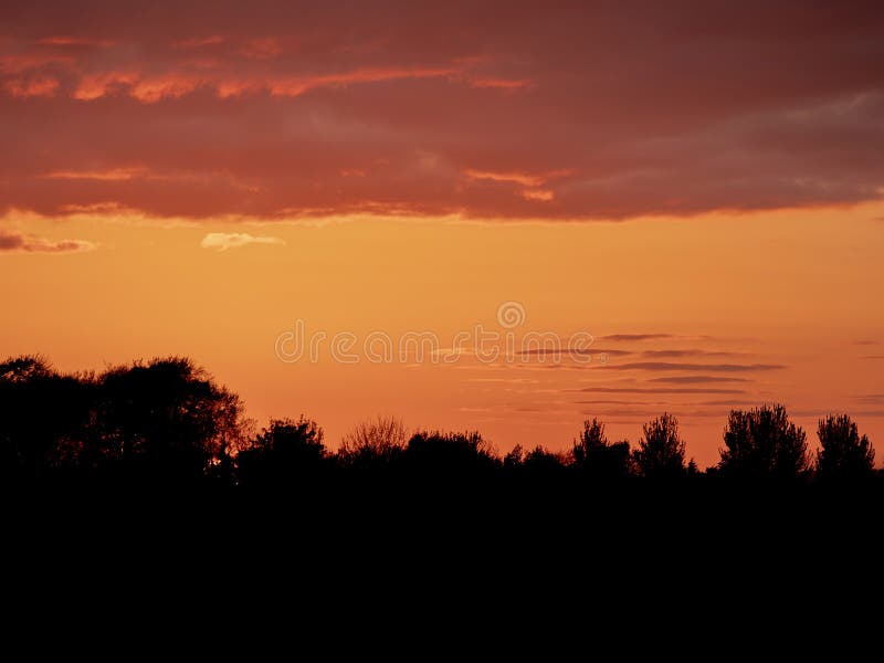 Warm Orange Sunset Sky with Clouds Over Trees Silhouette Stock Photo ...