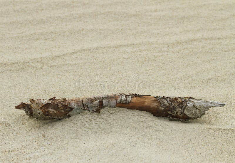 Warm sand. stock photo. Image of vacation, shell, coast - 42274048