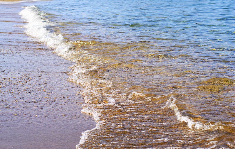 Warm Sea, Sun, Beach, Vacation Stock Photo - Image of horizon, tree ...