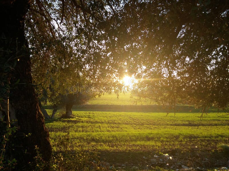 Warm spring day sunset stock image. Image of sunset - 103262277