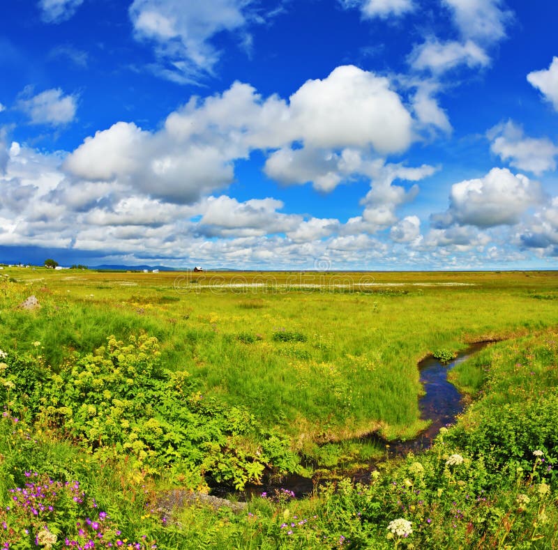 The warm summer day stock photo. Image of flowers, travel - 53749378
