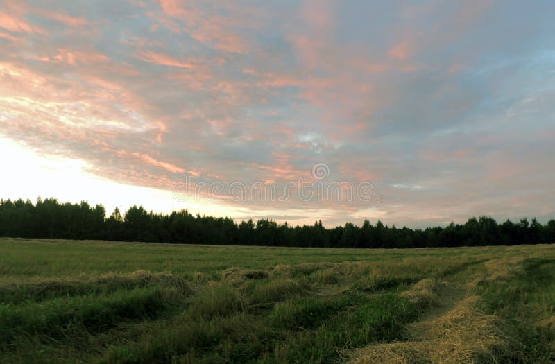 Warm Summer Evening. Colorful Sunset Over a Compressed Field Stock ...