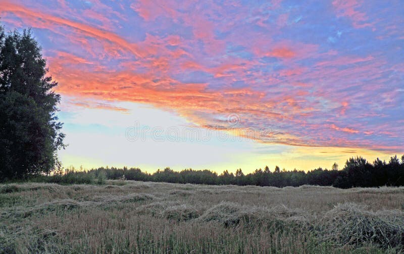 Warm Summer Evening. Colorful Sunset Over a Compressed Field Stock ...