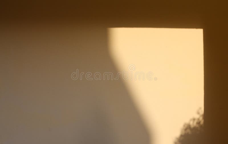 Warm Summer Shadows on the Wall. Painted Plaster Wall Texture with ...