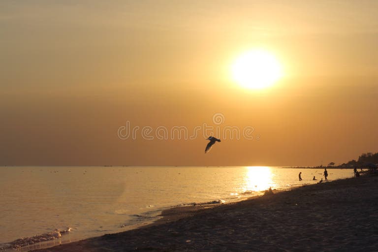 Warm Summer Sunset at the Seaside Stock Photo - Image of fisherman ...