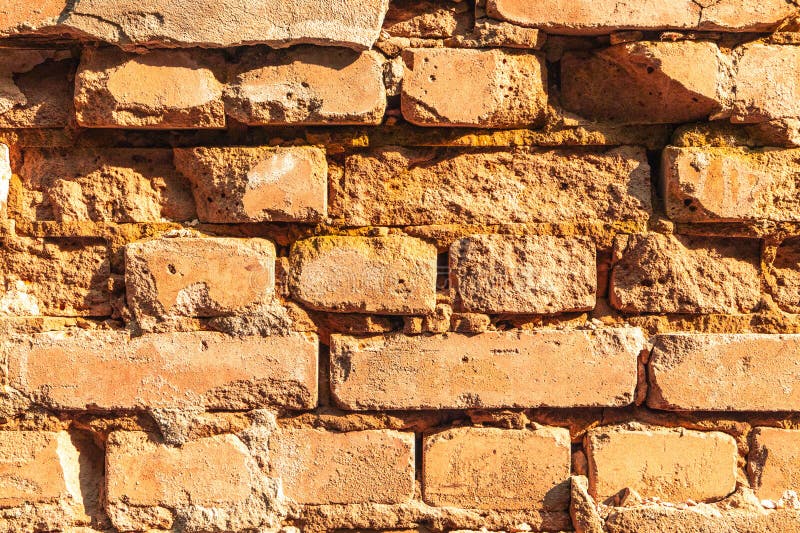 Textured Brick Wall in Warm Sunlight Showcasing Earthy Tones and ...
