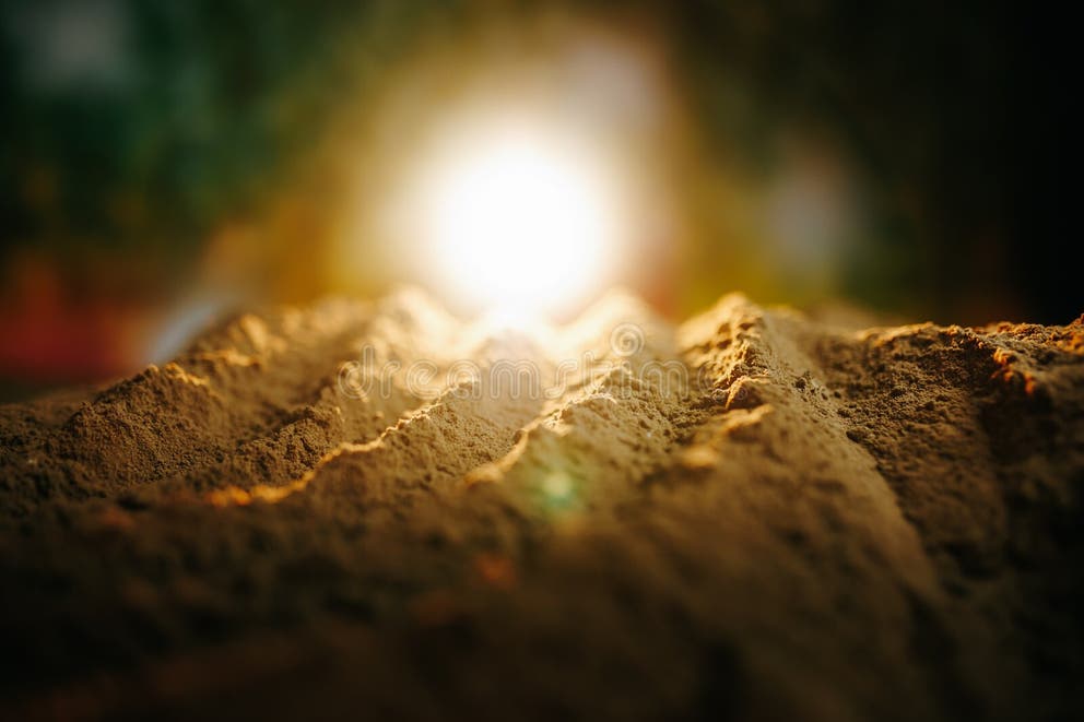Warm Sunlight Illuminating Soil with Shadows and Textures at Dawn Stock Image - Image of ...