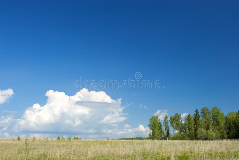 Warm Sunny Midday Landscape in Village Stock Photo - Image of colorful ...