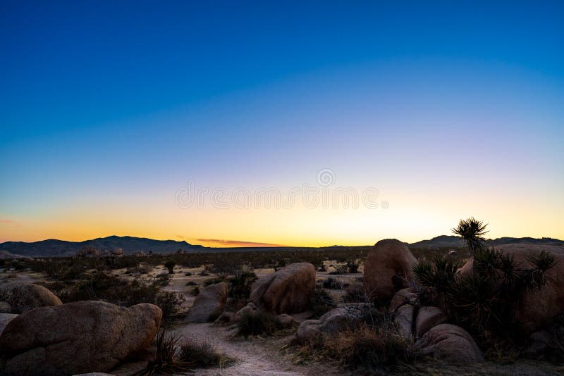 Warm Sunset Over the Desert Floor Stock Photo - Image of natural ...