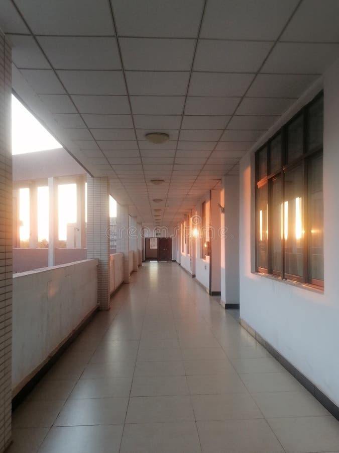 The Warm Sunset Meets the Light Stock Image - Image of scen, campus ...