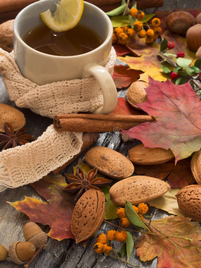 Warm tea for fall days stock image. Image of november - 103350213