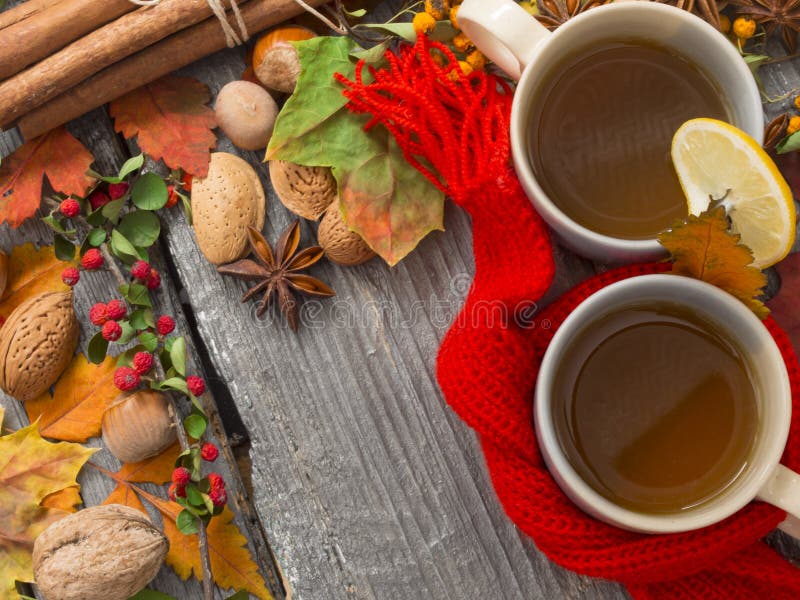 Warm tea for fall days stock photo. Image of indoor - 103350256