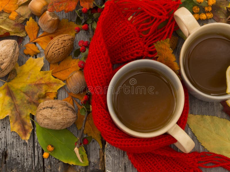 Warm tea for fall days stock photo. Image of autumn - 103350500
