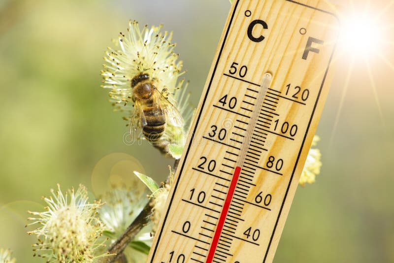 Warm Temperature at Spring with Fine Weather and Sun Stock Photo ...