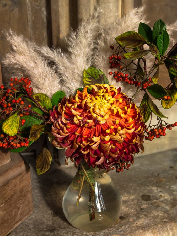 Warm tone flower stock photo. Image of flower, beautiful - 45715532